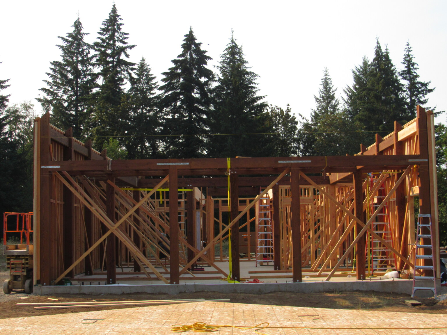 Building the Dream Library | Kelly Bulkeley