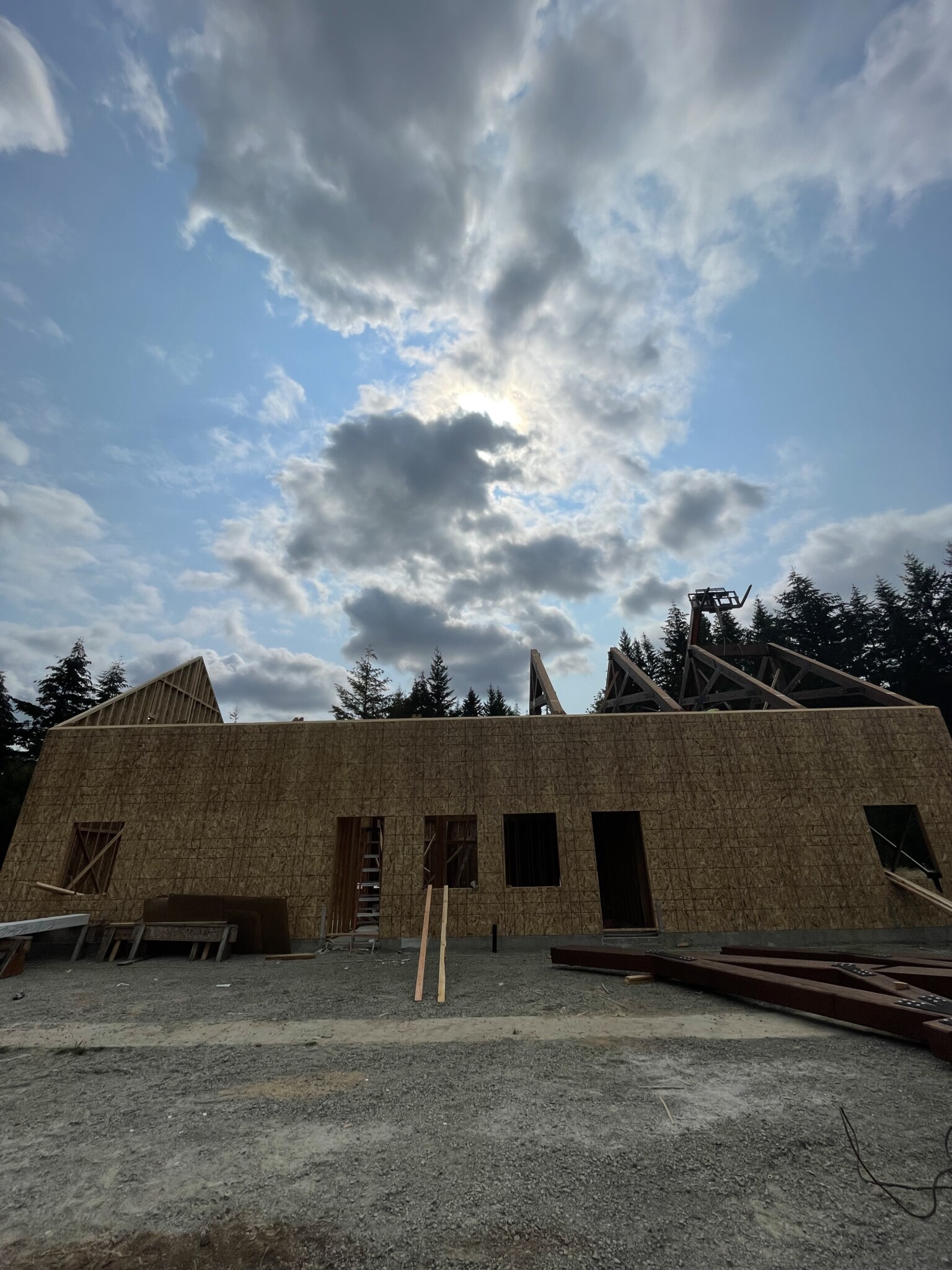 Kelly Bulkeley | Dream Research & Education